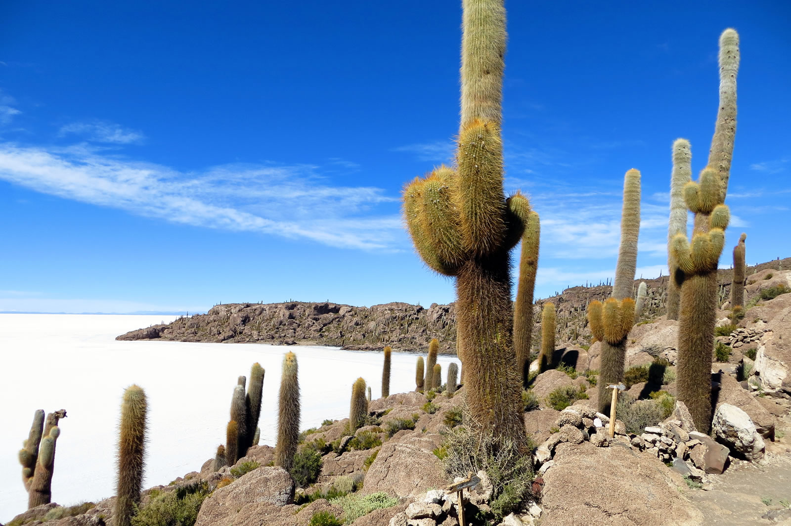 5 Things To See In The Uyuni Salt Flats 5 Things To See In The Uyuni Salt Flats